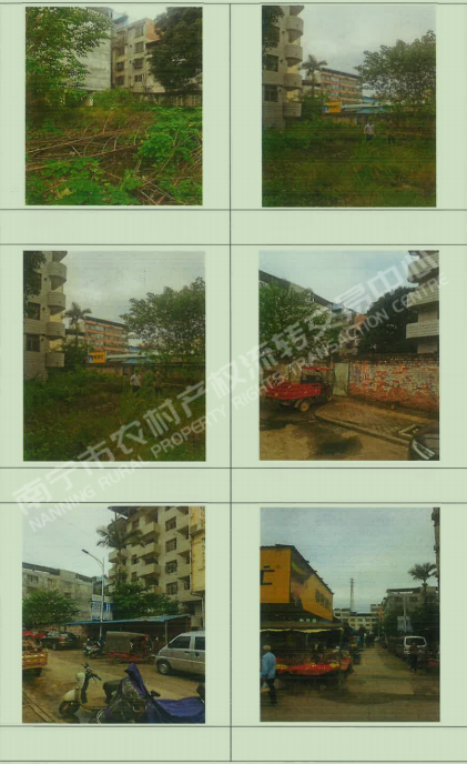 西乡塘区坛洛镇税所招租交易公告 - 南宁市农村产权流转交易中心